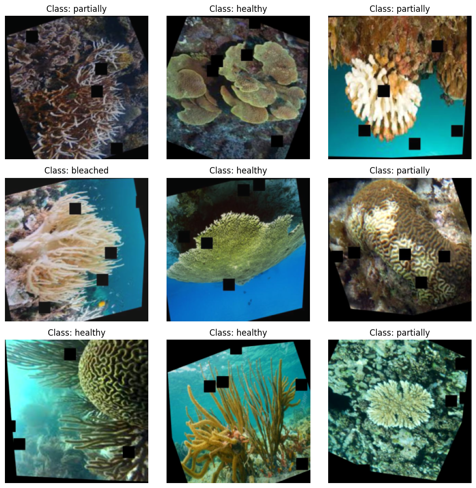 Coral Health Classification